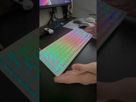 Should you buy the Wooting 80HE?
