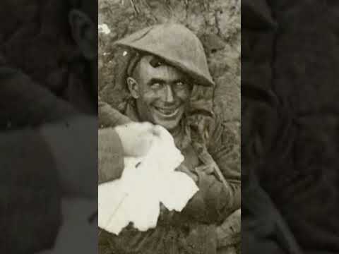 WWI: The Toll of Trench Warfare