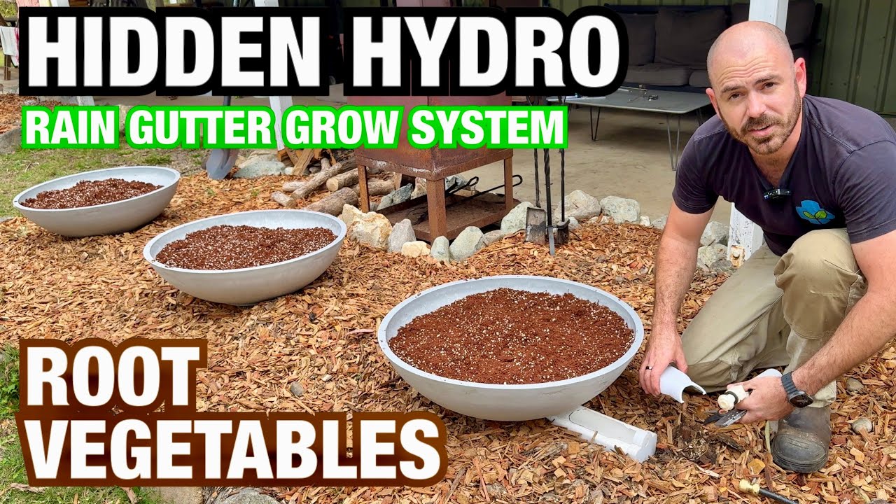 Hydroponic Root Vegetables in a Rain Gutter Grow System