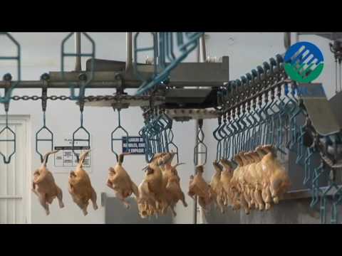 Equipamiento de Rastro TIF de aves con infraestructura y energías ...