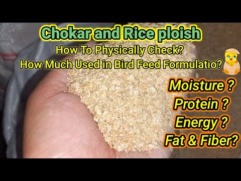 WHEAT BRAN and RICE POLISH |how to check/ideal standards For Poultry Feed Formulation