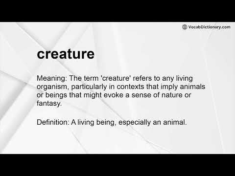 creature Meaning