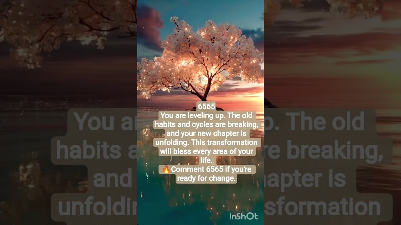 ⚡6565 Angel Number - Powerful Transformation#affirmation#lawofattraction#manifestation#angelnumber