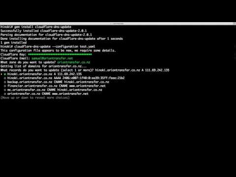 Cloudflare DNS Update
