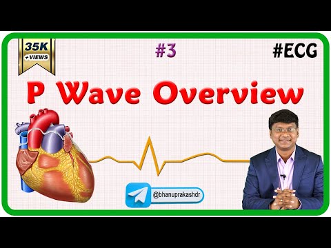 3. P Wave Overview - ECG assessment and ECG interpretation made easy