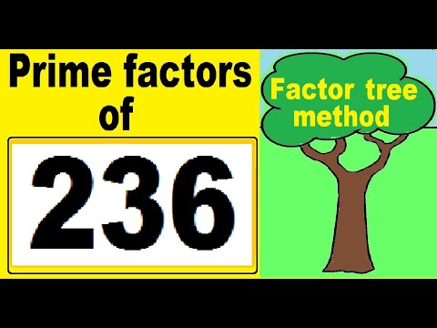Prime factors of 236. Prime factors decomposition of 236. Factor tree method.