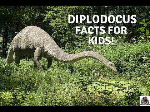 Diplodocus facts for kids