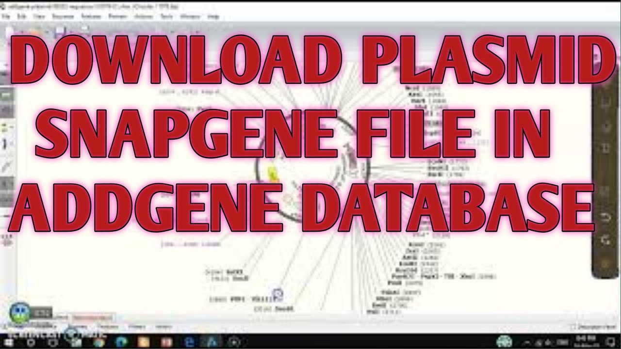 addgene databse II plasmid files in addgene II xgene and proteinx