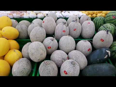 THE FOOD PYRAMID | INDAH H.Q - 017