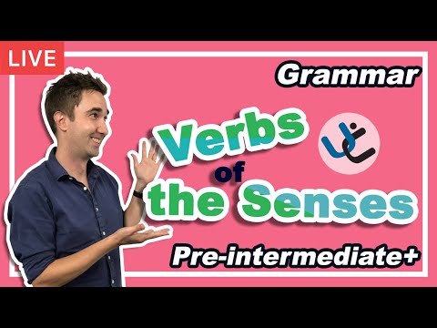Verbs of the Senses - Look, See, Watch???
