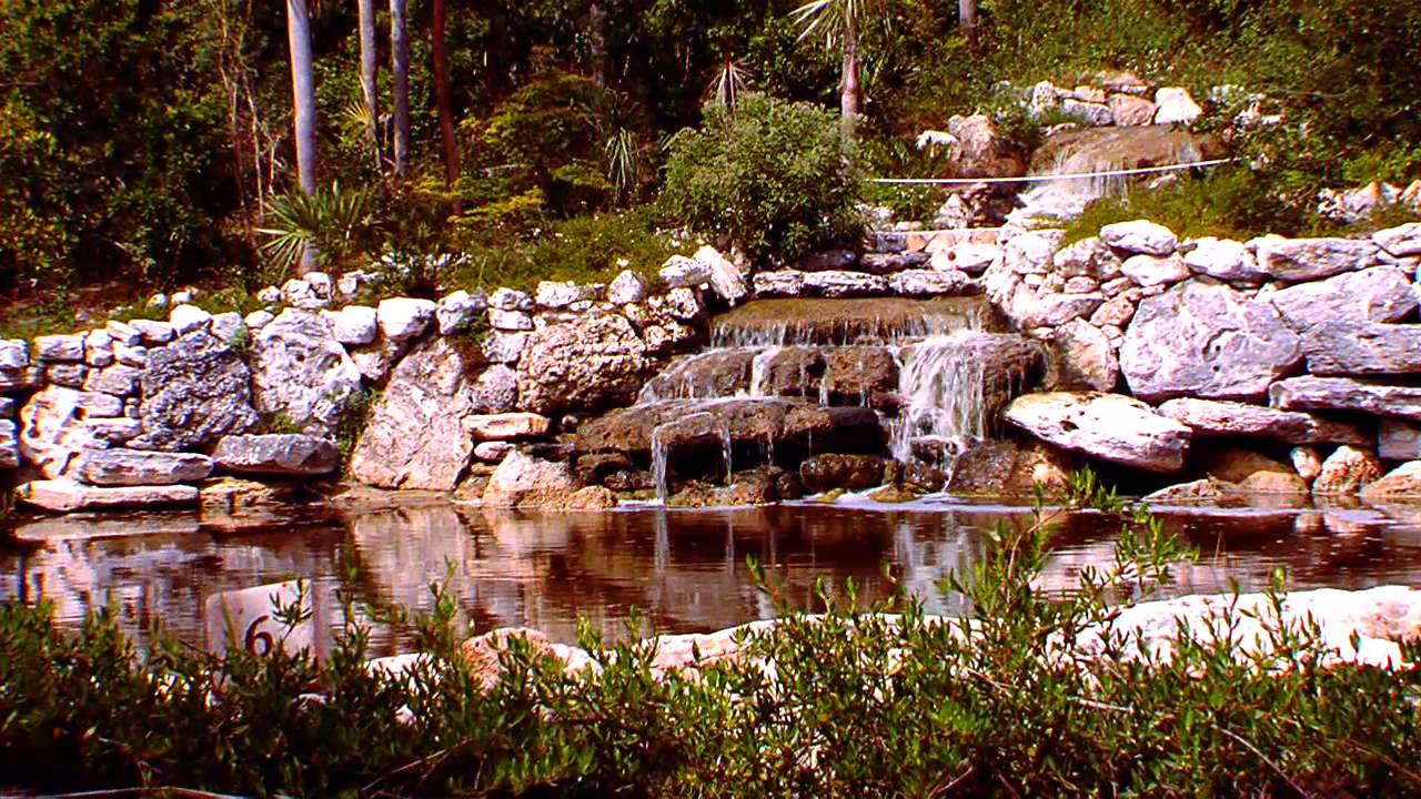 Leon Levy Native Plant Preserve Promo