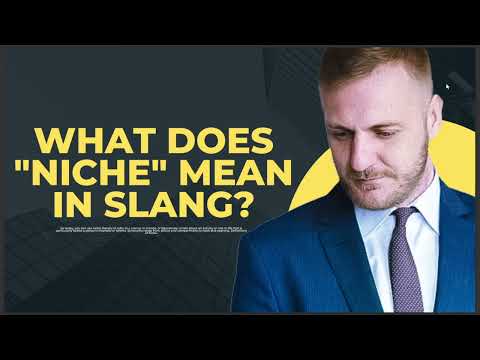 WHAT DOES NICHE MEAN IN SLANG
