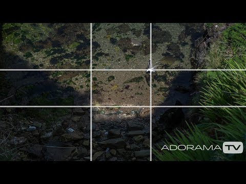 Composition IV - Adorama