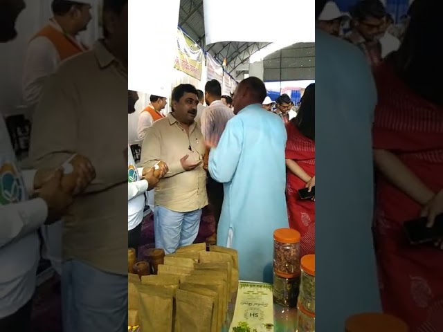 Herbal Roots - Asparagus Racemosus Roots Manufacturer from Neemuch