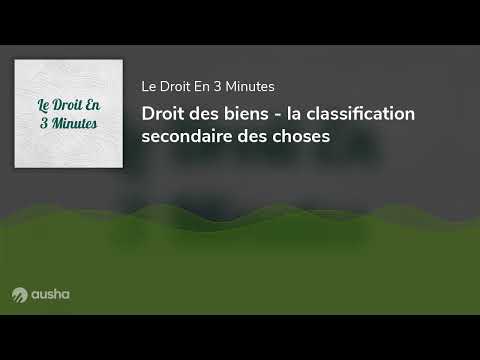 Droit des biens - la classification secondaire des choses