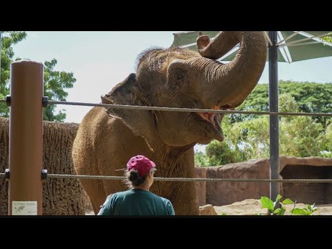 Honolulu Zoo
