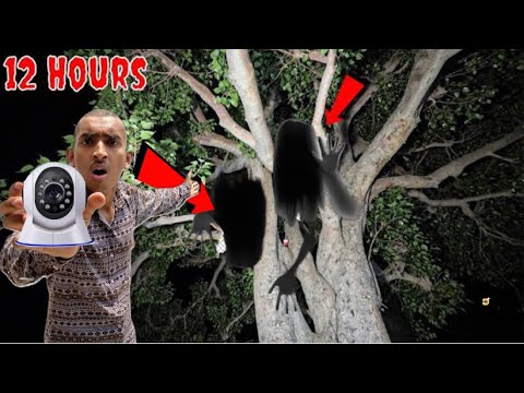 Peepal Ke Tree Par Lagaya Camera | यहाँ तोह सच में भूत रहता है ? | Camera On Peepal Ka Ped