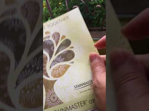 Greentoes sample of menu paper