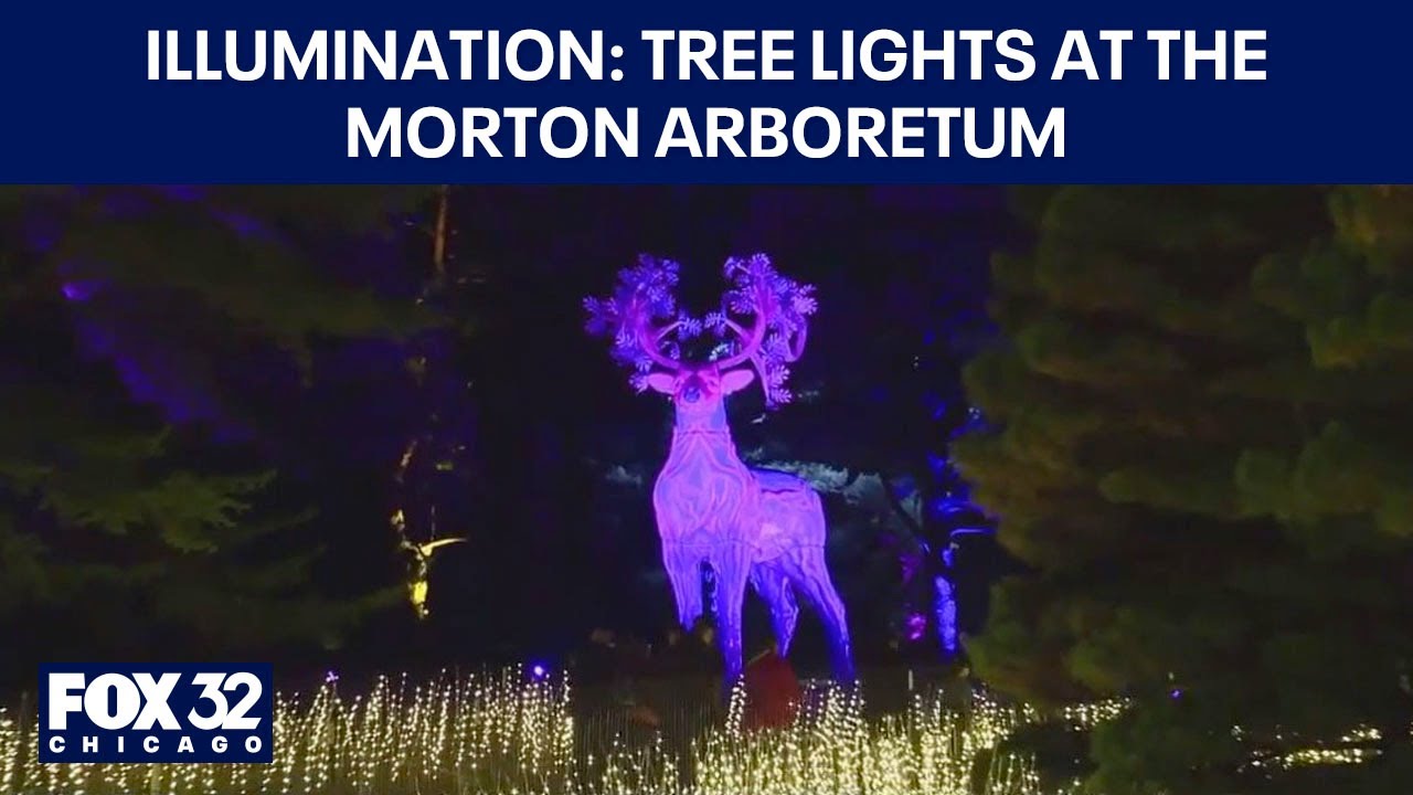 Illumination: Tree Lights at the Morton Arboretum
