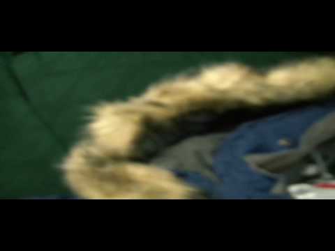 northface mcMurdo jacket fake on eBay. HELP!