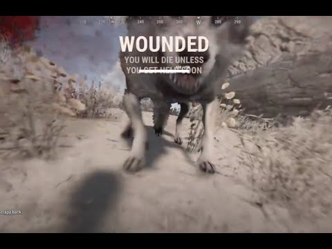 Steam Community :: Video :: Should You Jump On A Wolf's Head? Rust ...