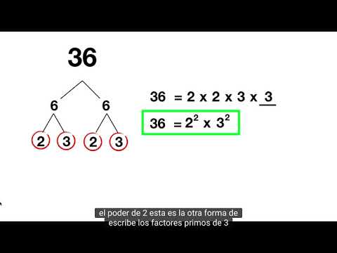 Prime Factorization With Exponents Spanish