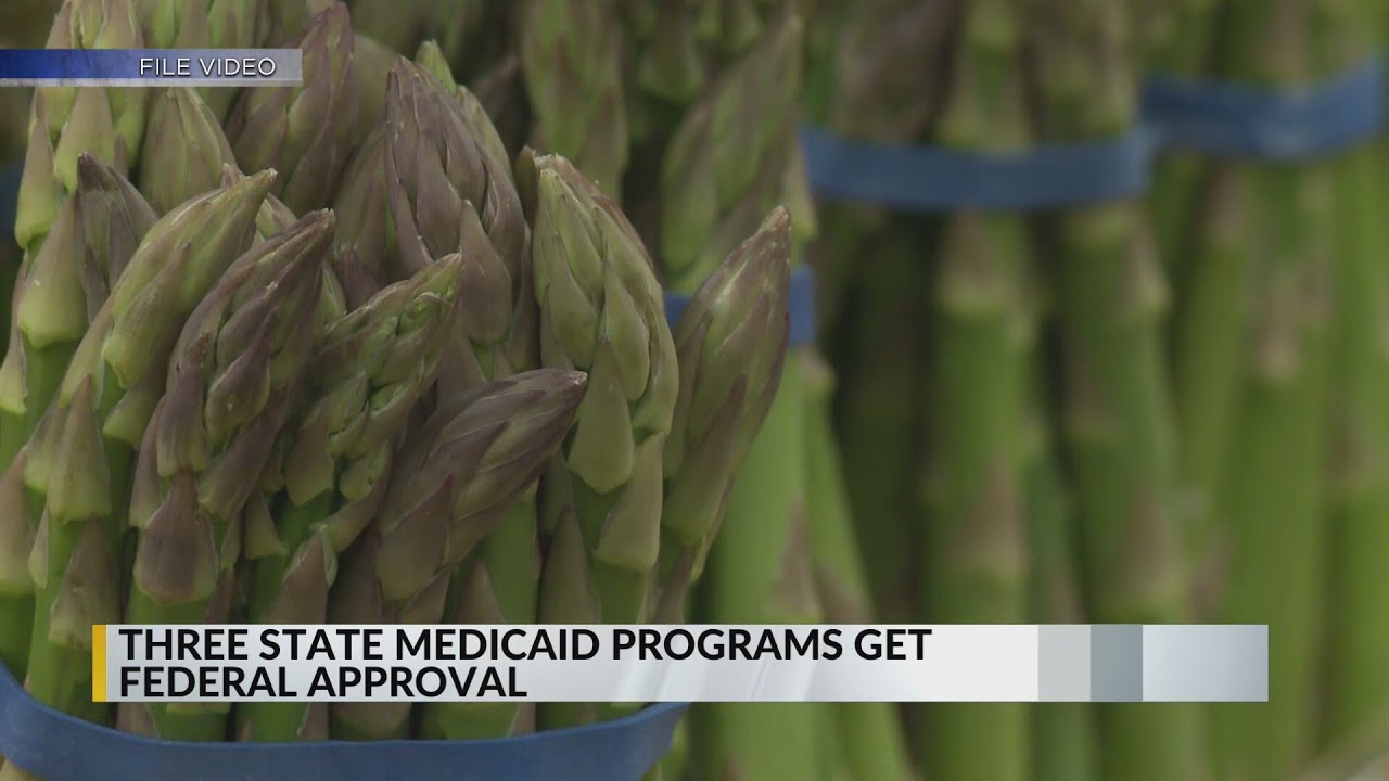 New Medicaid programs launching in New Mexico