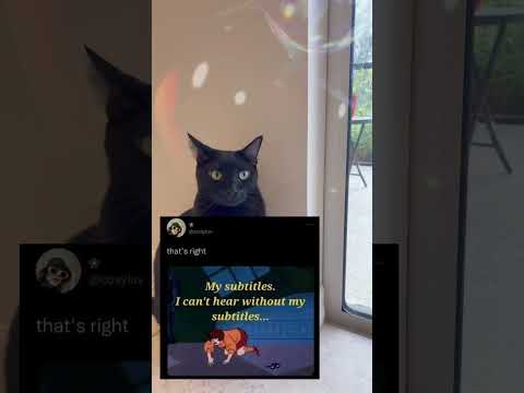 Vader's Listening Lesson: Cat Learns the Importance of Subtitle Humor In this lighthearted video