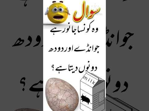 Educational riddle || Urdu Paheli with answer #riddle #viralshort #brilliant .