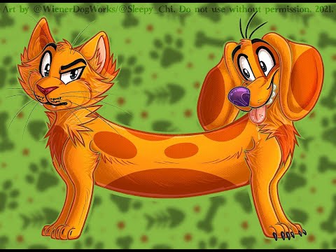 "CatDog" Time Lapse 🐱🐶