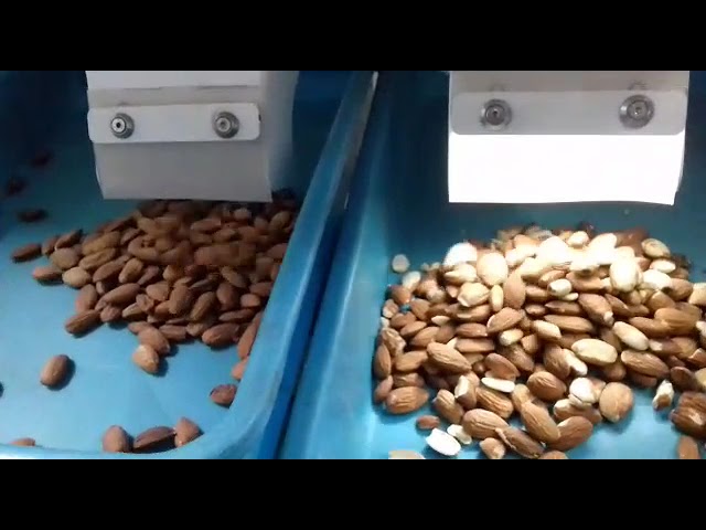 Almonds Color Sorter - Almond Color Sorting Machine Manufacturer from ...