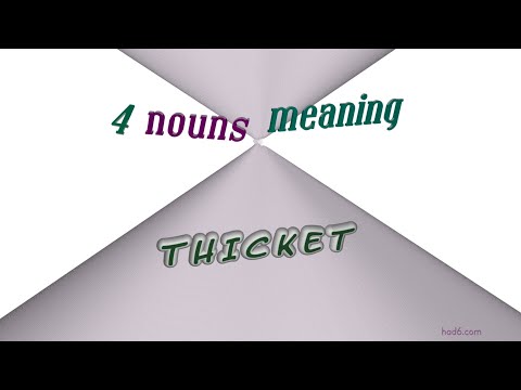 thicket - 4 nouns which are synonyms to thicket (sentence examples)