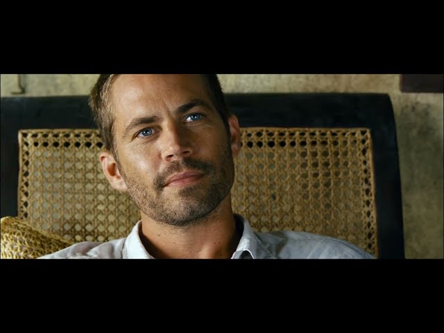 Don Omar - Taboo Letra y Videos Musicales