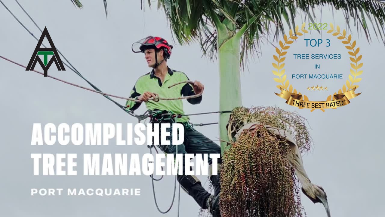 Accomplished Tree Management, Top 3 Tree Service Provider in Port Macquarie