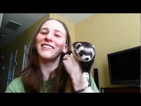 Resources – Funky Ferrets Inc.
