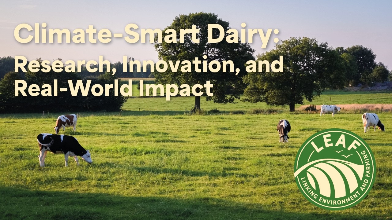 LEAF Digs Deeper S4.Ep6 | Climate-Smart Dairy: Research, Innovation, and Real-World Impact