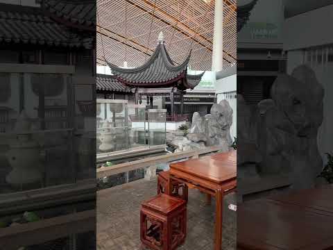 Welcome to Beijing Capital Airport Terminal 3 #shorts #pek #beijing #airport