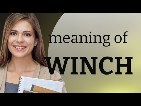 Winch | definition of WINCH