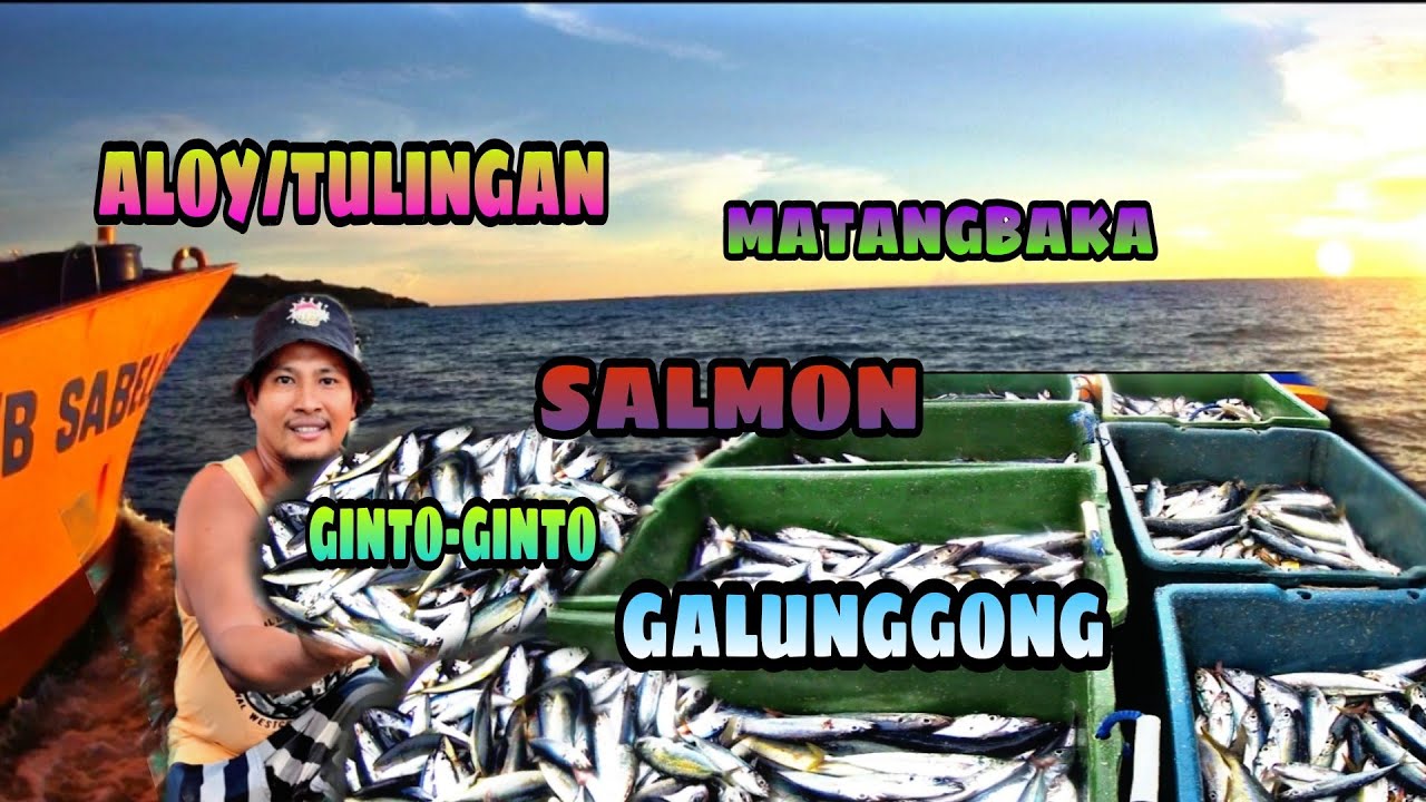 Ibat Ibang Uri Ng Isda - mga paksa