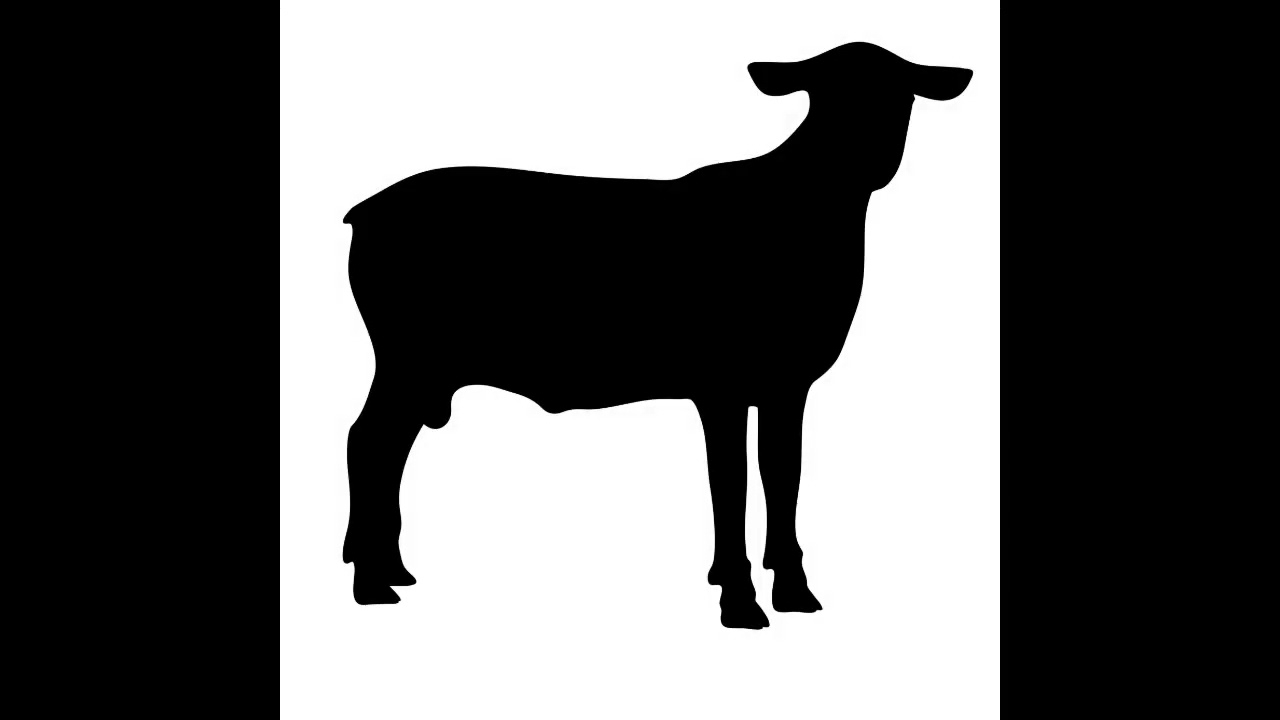 Sheep Animal Standing : Stock Vector (Royalty Free) 021522