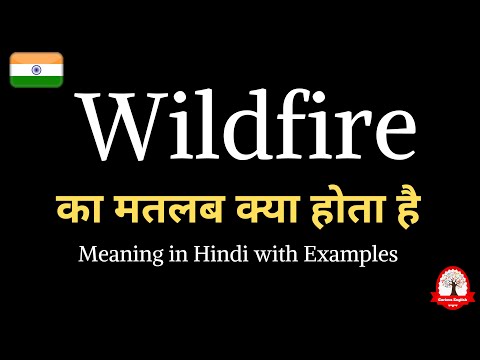 Wildfire meaning in Hindi | Wildfire का मतलब क्या होता हैं | word meaning in Hindi