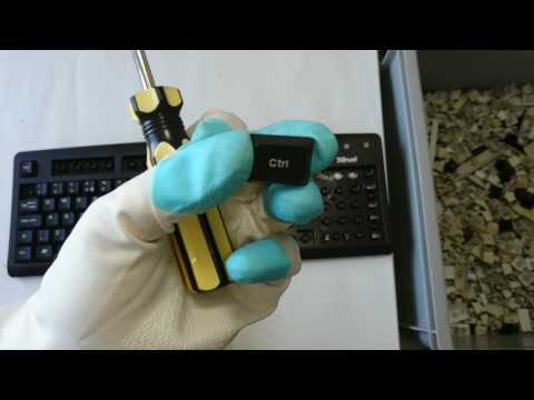 ASMR show: ASMR ๐ Learn Keyboard Play Day Eight - Ctrl