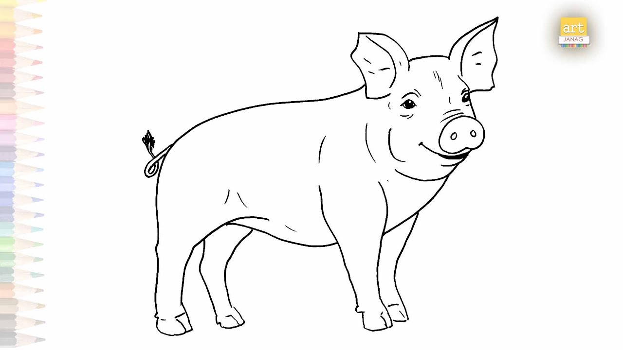 Pig drawings | Outline animal sketches | How to draw A Pig step by step | #artjanag