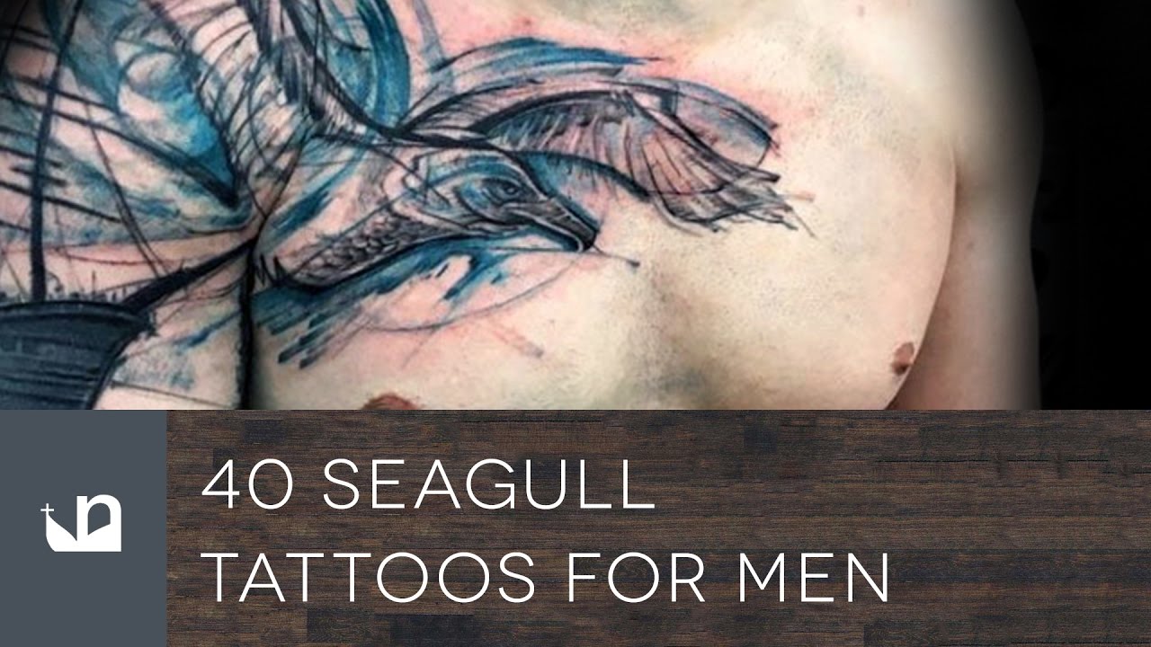 40 Seagull Tattoos For Men