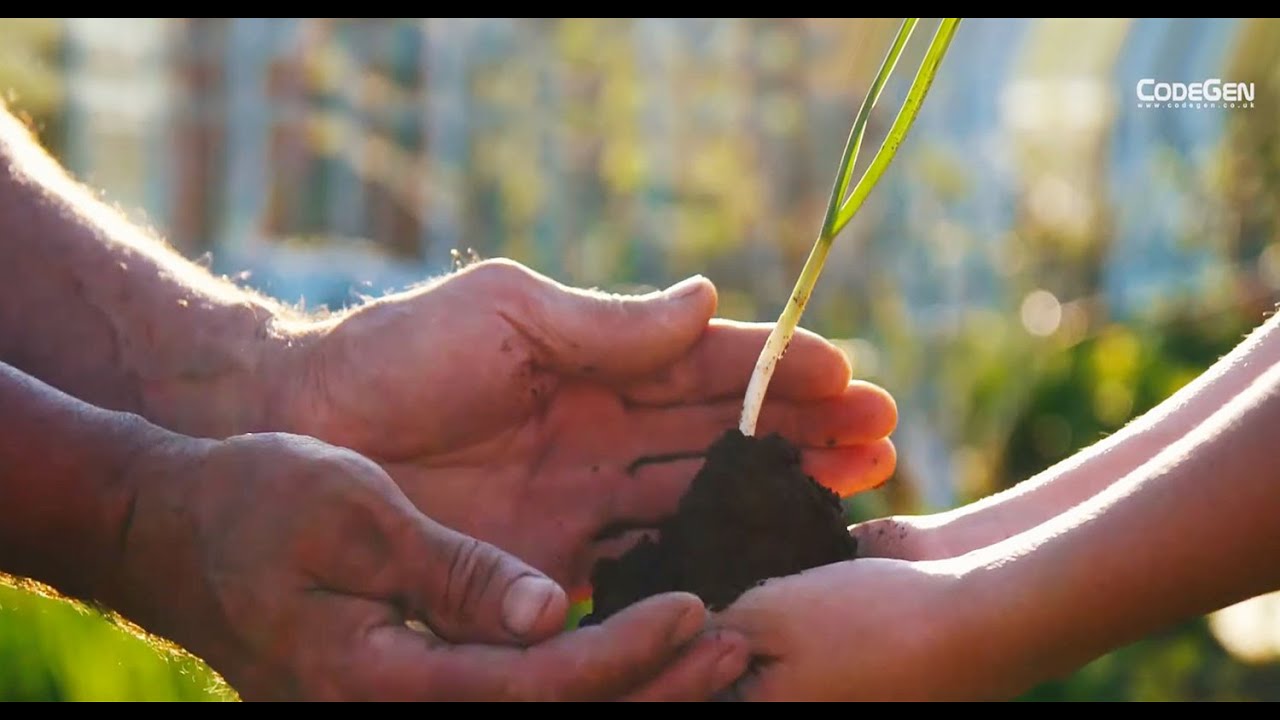 Transforming Tomorrow's World - CodeGen International