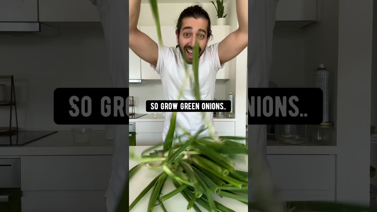 How to Grow Never-Ending Green Onions | creative explained