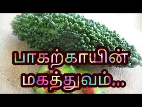 Benefits of Bitter Gourd | Bitter Gourd - Pavakkai | Pavakkai Payangal | Healthy Life - Tamil.
