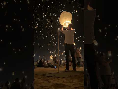 A sky full of lanterns ✨ #RiseFestival