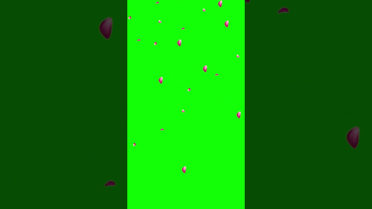 Falling Flower Green Screen 2023 | Rose Flower Green Screen