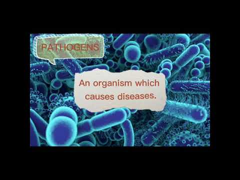 Definition of Pathogens and Vectors